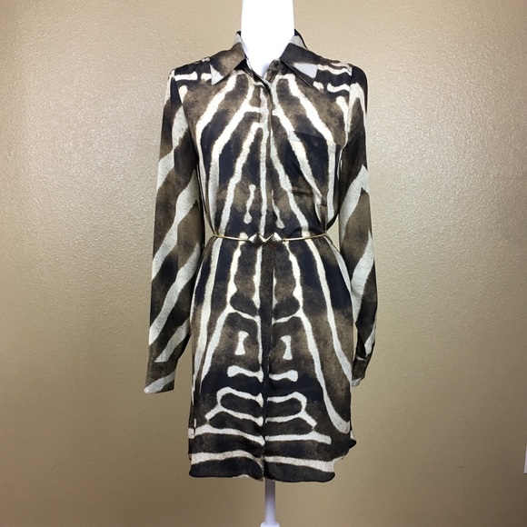 Haute Hippie | Dresses | Haute Hippie Zebra Print 0 Silk Shirt Dress ...